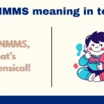 IDTS Meaning in Text: A Relief for Confusing Messages (2026)